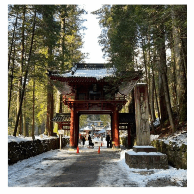From Tokyo: Nikko Private Tour In Luxury Prado Lowest Price - Vehicle and Comfort Features