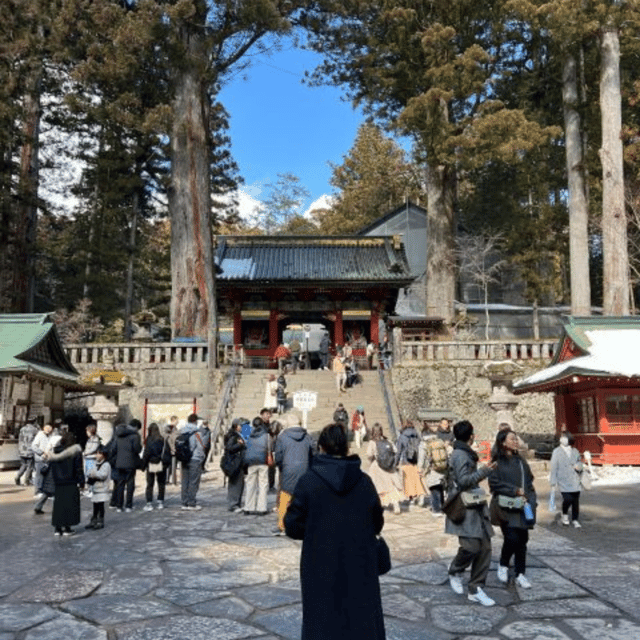 From Tokyo: Nikko Private Tour In Luxury Prado Lowest Price - Important Information and Recommendations
