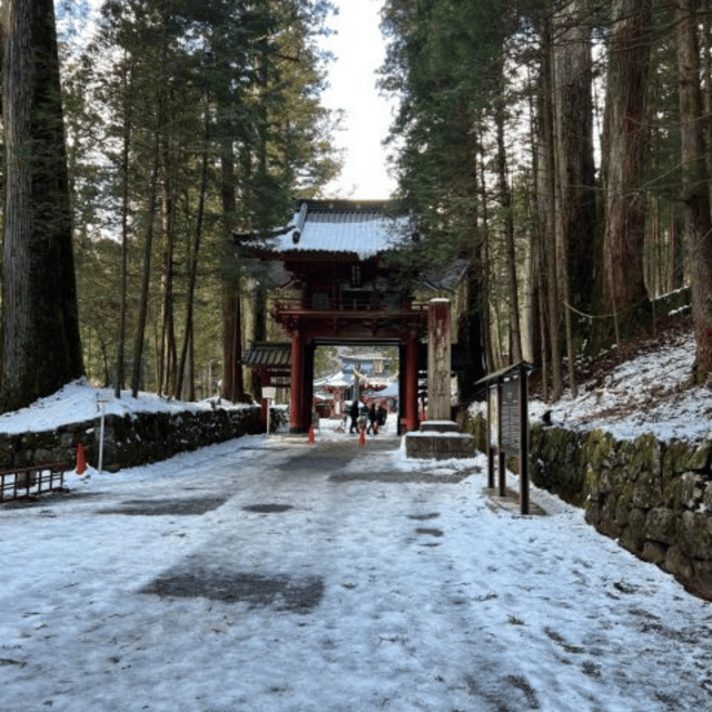 From Tokyo: Nikko Private Tour In Luxury Prado Lowest Price - Customizable Experiences