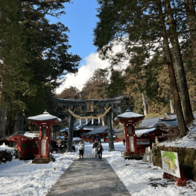From Tokyo: Nikko Private Tour In Luxury Prado Lowest Price - Exclusive Offers and Discounts