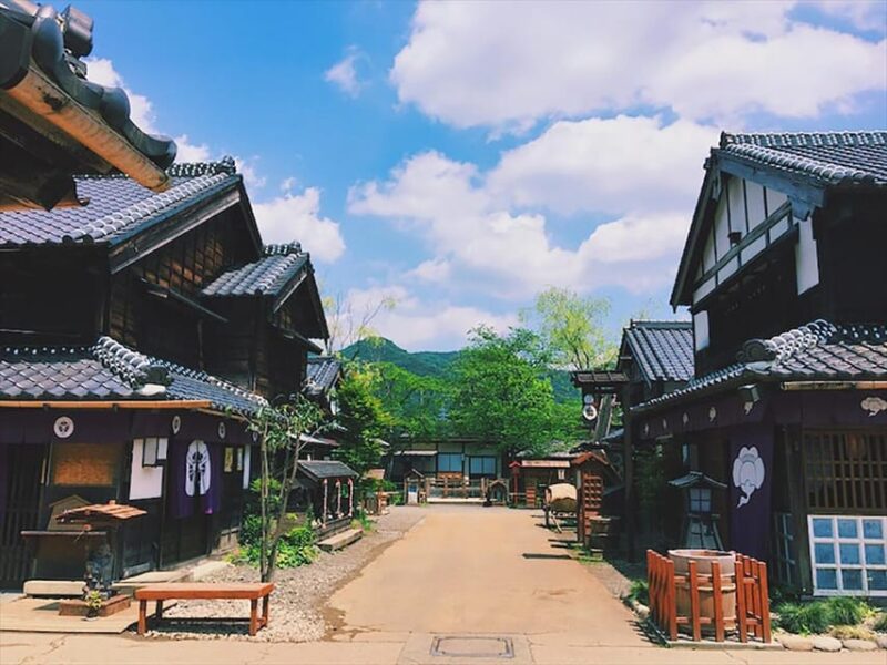 From Tokyo: Nikko Private Tour With English-Speaking Guide - Pickup and Drop-off Locations