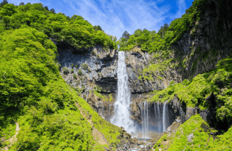 From Tokyo: Nikko Toshogu Day Tour With Traditional Lunch - Key Stops at Nikko Toshogu Shrine and Surrounding Areas