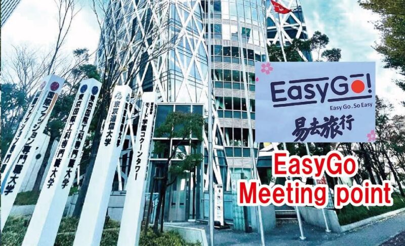 From Tokyo: Nikko Toshogu Day Tour With Traditional Lunch - Important Information for Participants