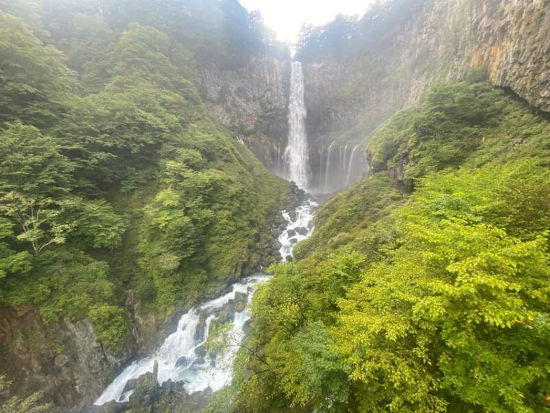 From Tokyo: Nikko, Toshogu Shrine, Waterfall, & Lake Trip - Key Points