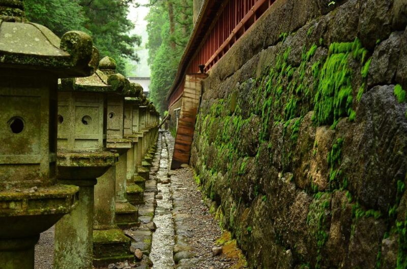 From Tokyo: Nikko, Toshogu Shrine, Waterfall, & Lake Trip - Suitability and Accessibility
