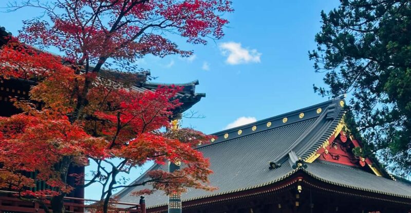 From Tokyo: Nikko Tour With Toshogu Shrine and Kegon Falls - UNESCO World Heritage Sites: Toshogu Shrine and Rinnoji Temple