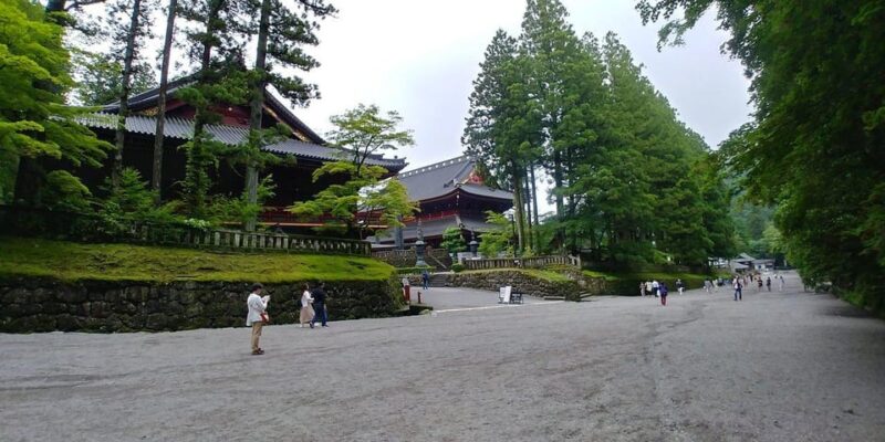 From Tokyo: Nikko Tour With Toshogu Shrine and Kegon Falls - Optional Hiking at Senjogahara Field