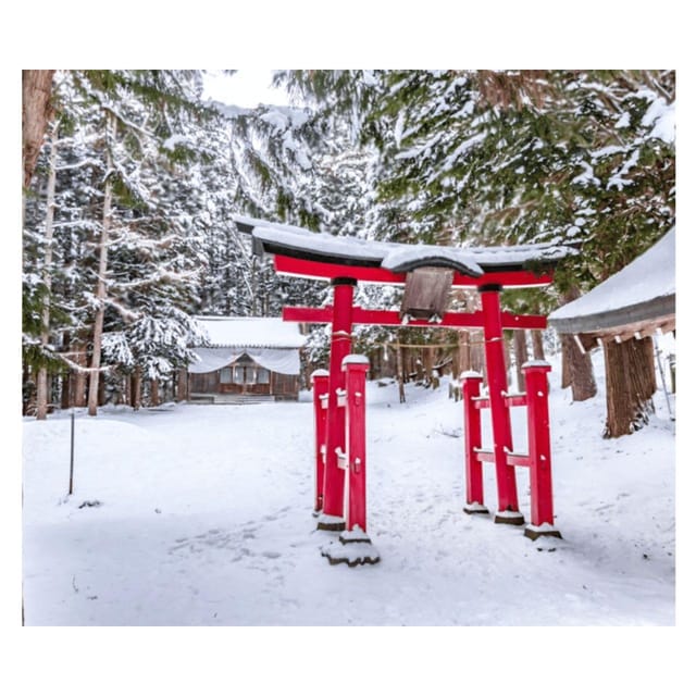 From Tokyo: Nikko Unesco Fully Customised Private Car Tour - Key Points