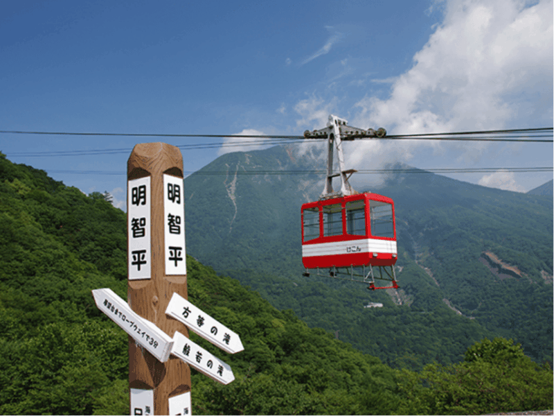 From Tokyo: Nikko UNESCO Shrine and Nature View 1-Day Tour - Frequently Asked Questions