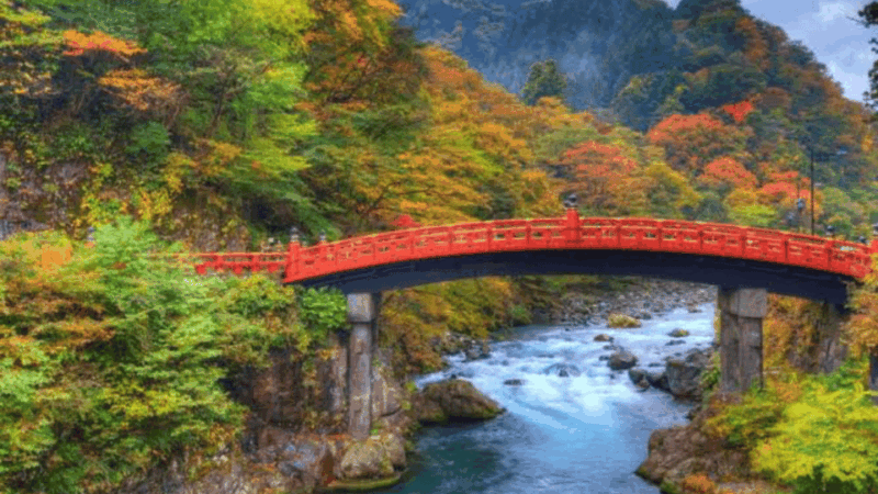 From Tokyo: Nikko World Heritage Full Day Private Tour - Inclusions