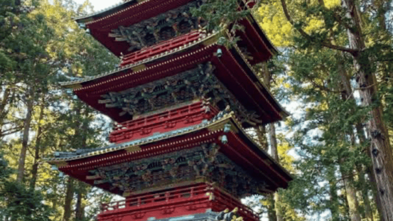 From Tokyo: Nikko World Heritage Full Day Private Tour - Customer Reviews