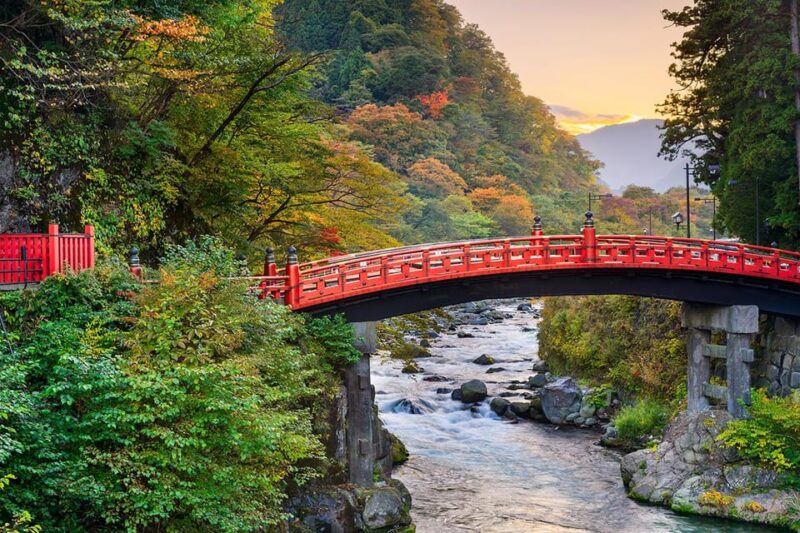 From Tokyo: Nikko World Heritage Sight Full Day Private Tour - Kegon Falls and Lake Chuzenji: Scenic Wonders of Nikko