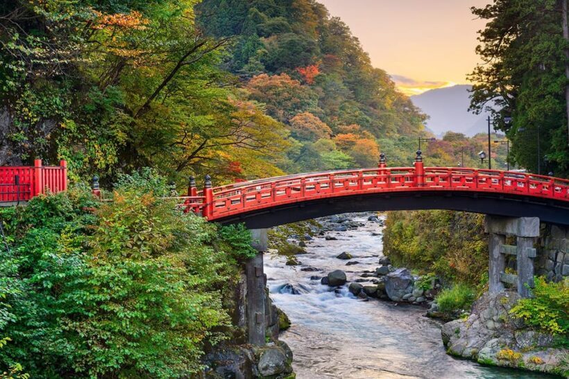 From Tokyo: Nikko World Heritage Site Private Full-Day Trip - The Scenic and Cultural Highlights