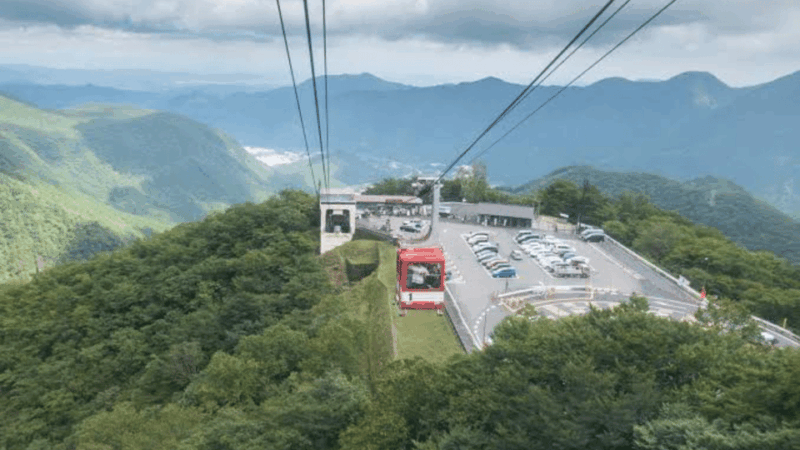 From Tokyo: Niko Full Day Private Tour With English Chauffer - Visiting Nikko Toshogu Shrine