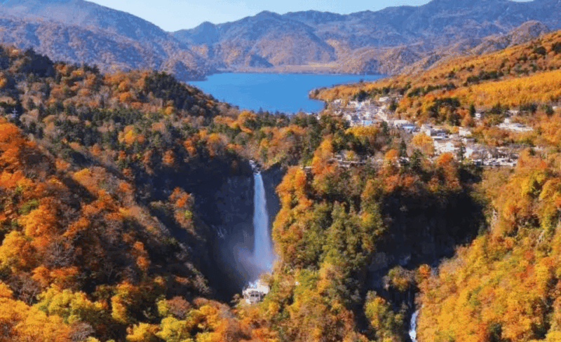 From Tokyo Niko World Heritage Tour With English Driver - Tour Itinerary and Highlights