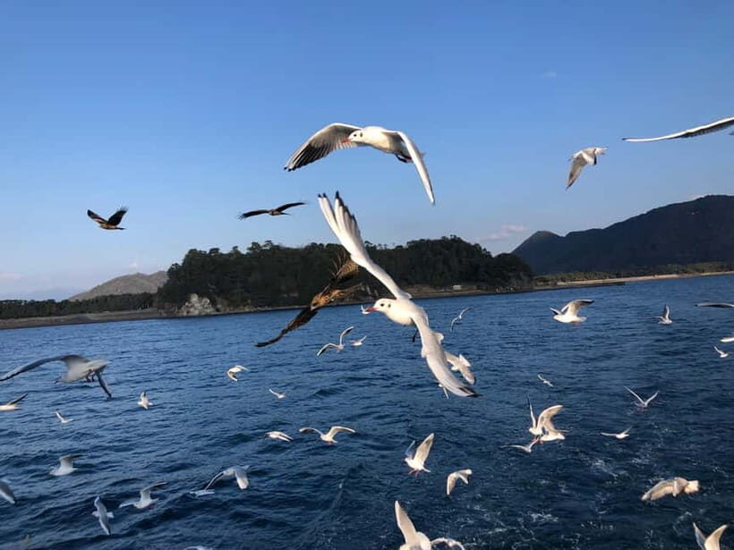 From Tokyo: Numazu Port and Gotemba Outlets Day Tour - Who Should Consider This Tour?