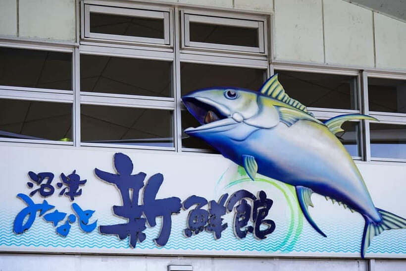 From Tokyo: Numazu Port and Gotemba Outlets Day Tour - FAQ
