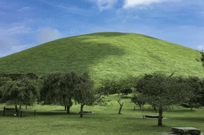 From Tokyo: Private Day Trip to Izu & Shimoda, Shizuoka - Customer Feedback and Ratings