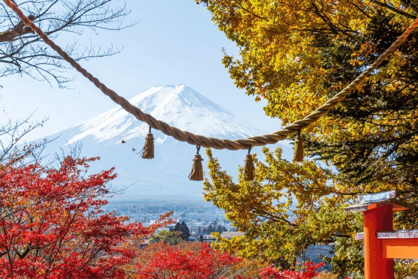 From Tokyo: Private Day Trip to Mount Fuji & Fuji Five lakes - Exploring the Mount Fuji & Fuji Five Lakes Private Day Trip