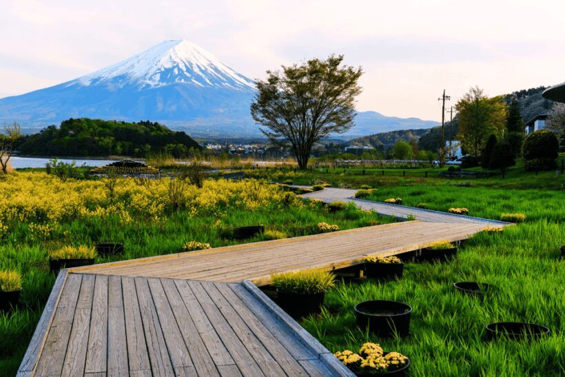 From Tokyo: Private Day Trip to Mount Fuji & Fuji Five lakes - In The Sum Up