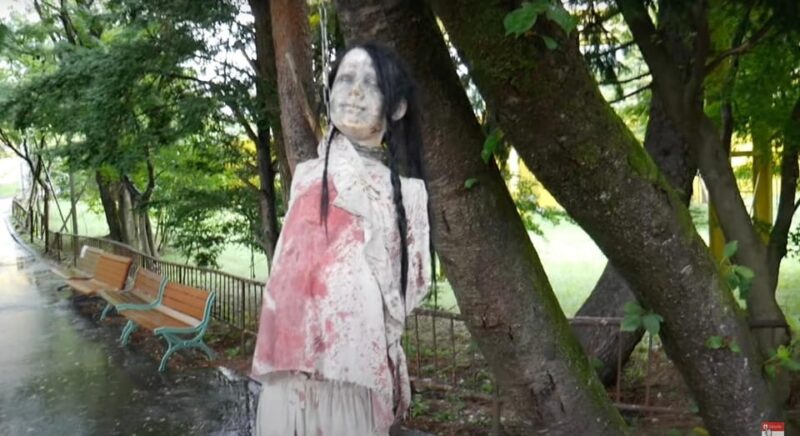 From Tokyo: Private Haunted Spots Tour With Entry Tickets - Inclusions