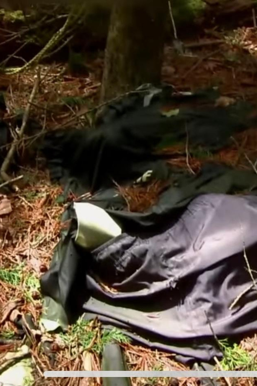 From Tokyo: Private Haunted Spots Tour With Entry Tickets - Pickup and Drop-off Locations