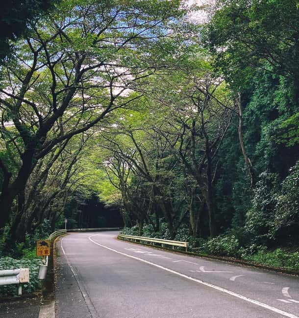 From Tokyo: Private Motorcycle Tour - Fuji, Hakone, Onsen - Practical Tips for Future Riders