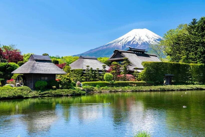 From Tokyo: Private Mount Fuji Day Trip by Car - Why Choose This Private Mount Fuji Day Trip?