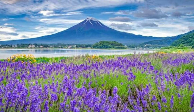From Tokyo: Private Mount Fuji Day Trip by Car - Final Thoughts