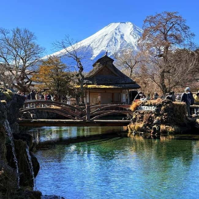 From Tokyo Private Mount Fuji & Hakone Day Trip With Pick Up - An In-Depth Look at the Tour Experience
