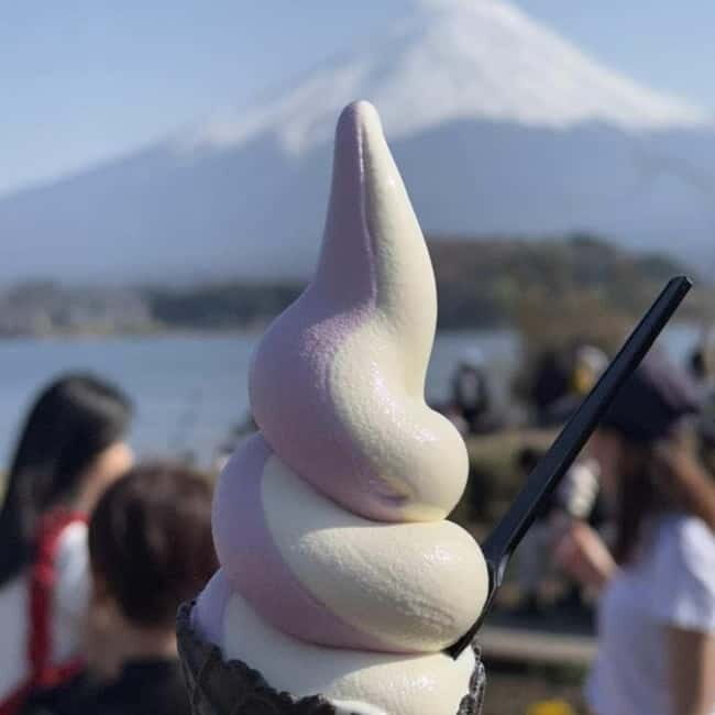 From Tokyo Private Mount Fuji & Hakone Day Trip With Pick Up - The Sum Up