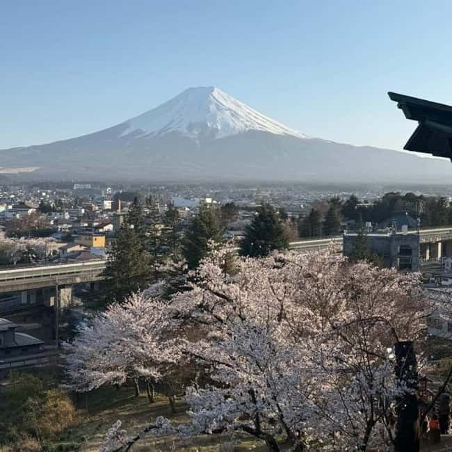 From Tokyo Private Mount Fuji & Hakone Day Trip With Pick Up - FAQ