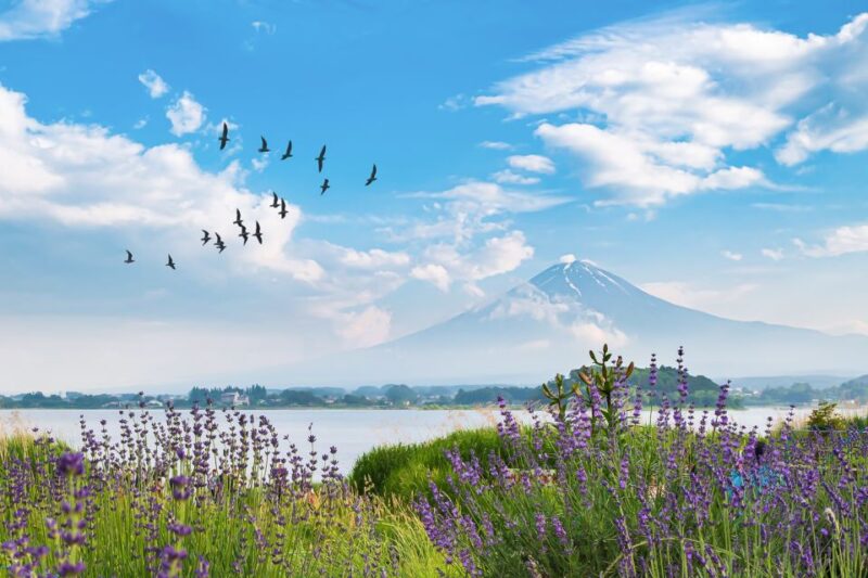 From Tokyo: Private Mt. Fuji and Hakone Tour by Car - Tour Overview