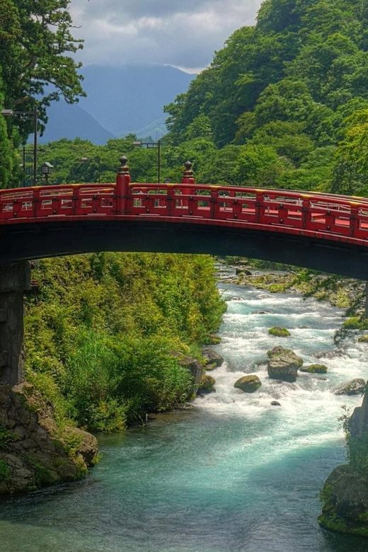 From Tokyo: Private Nikko World Heritage Sights Day Trip - What to Bring and Accessibility