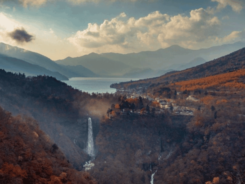 From Tokyo: Private Nikko World Heritage Sights Day Trip - Pricing and Availability