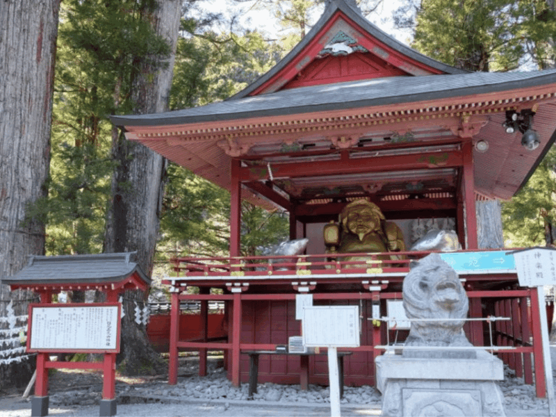 From Tokyo: Private Nikko World Heritage Sights Day Trip - Included Amenities and Services