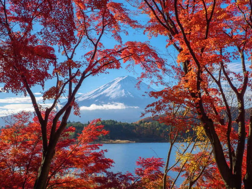 From Tokyo: Private Tour to Fuji/Hakone - Onsen, Art, Nature - What Could Be Better?