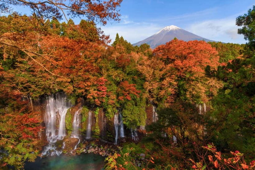 From Tokyo: Private Tour to Fuji/Hakone - Onsen, Art, Nature - FAQ