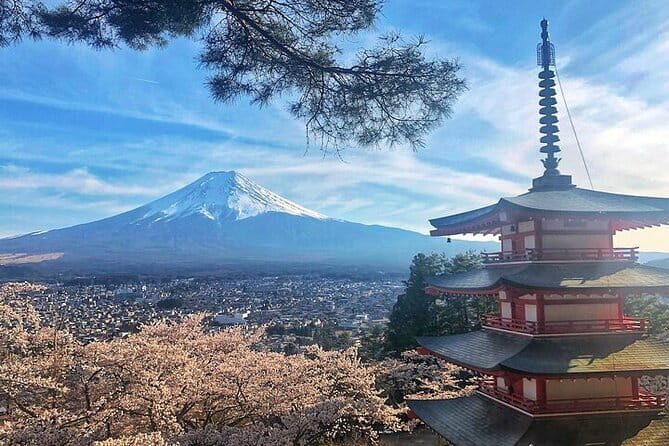 From Tokyo Private Trip to Mount Fuji and Lake Kawaguchi - An In-Depth Look at the Itinerary and Experience