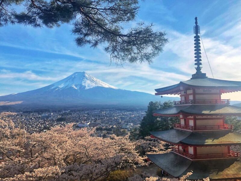 From Tokyo: Private Trip to Mount Fuji and Lake Kawaguchi - Tour Features and Customization