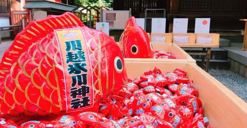 From Tokyo: Round-Trip Fare to Kawagoe City - Final Thoughts: Who Is It Best For?