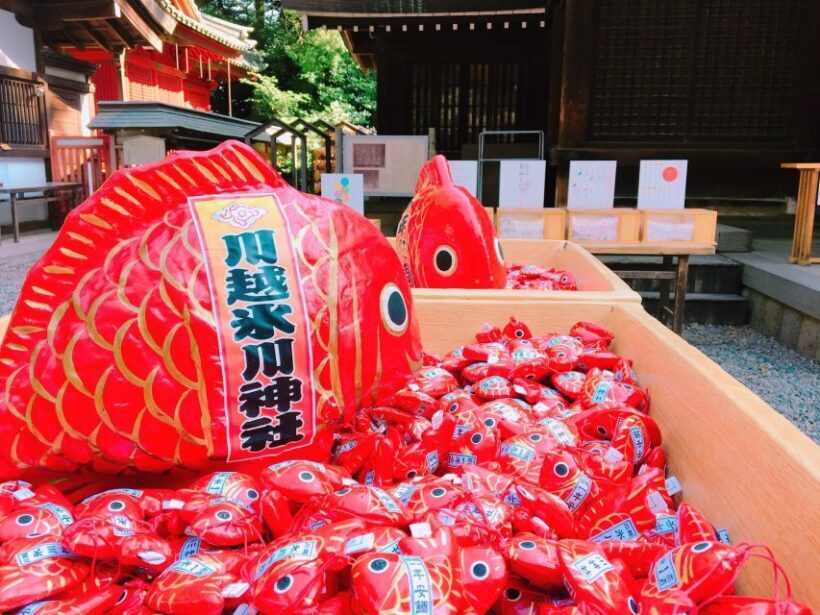 From Tokyo: Round-Trip Fare to Kawagoe City - Frequently Asked Questions