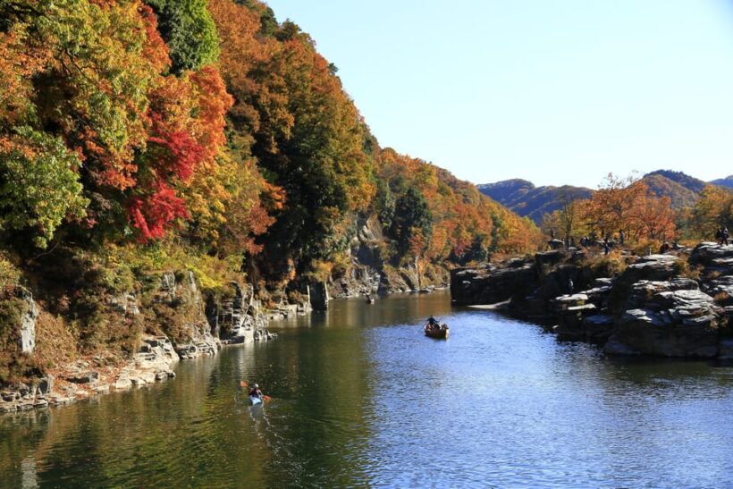 From Tokyo: Seibu Railway 1 Day Pass and Nagatoro - From Tokyo: Seibu Railway 1 Day Pass and Nagatoro — A Complete Guide for Curious Travelers