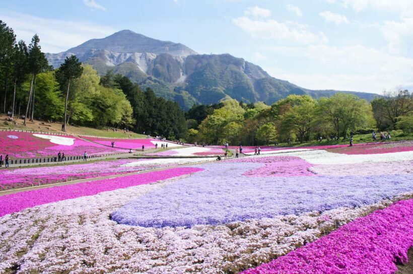 From Tokyo: Seibu Railway 1 Day Pass and Nagatoro - Key Points