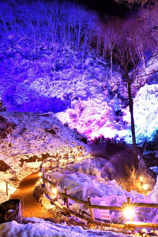 From Tokyo: Seibu Railway 1 Day Pass and Nagatoro - The Sum Up: Who Will Love This Experience?
