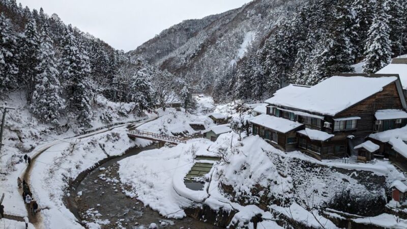 From Tokyo: Snow Monkey 1 Day Tour With Beef Sukiyaki Lunch - Feedback From Previous Customers