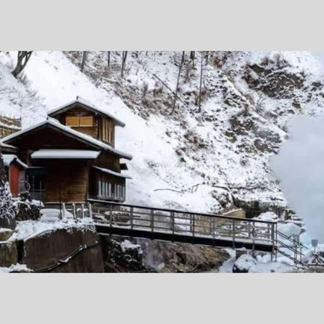 From Tokyo: Snow Monkey Park and Miso Production Day Tour - An In-Depth Look at the Itinerary