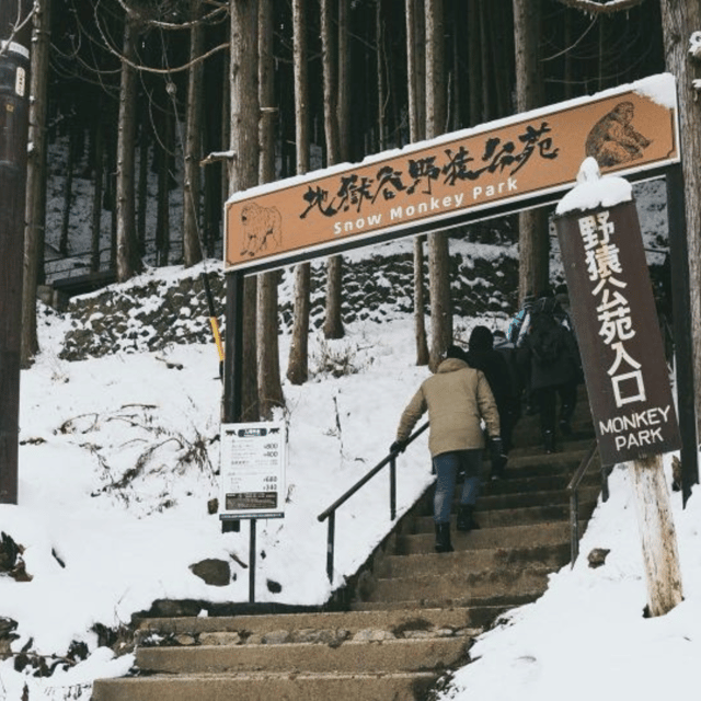 From Tokyo: Snow Monkey Park & Zenko-ji Temple Private Tour - Itinerary Highlights