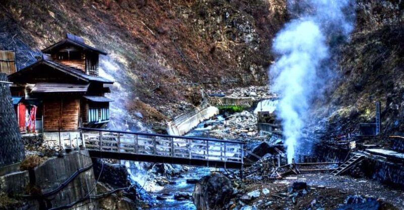 From Tokyo: Snow Monkey Private Full- Day Tour - Pickup and Accessibility