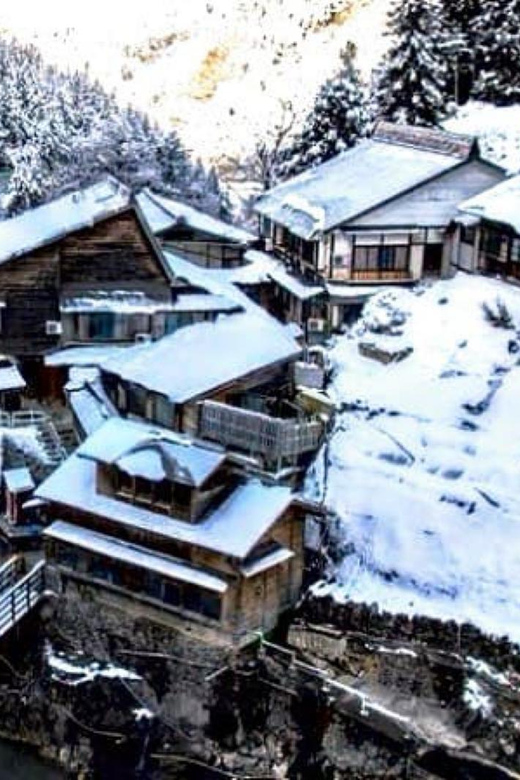 From Tokyo: Snow Monkey Private Full- Day Tour - Jigokudani Monkey Park